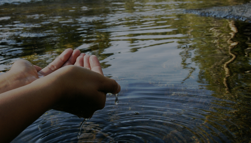 Solutions-Green-01 - ASI Signage